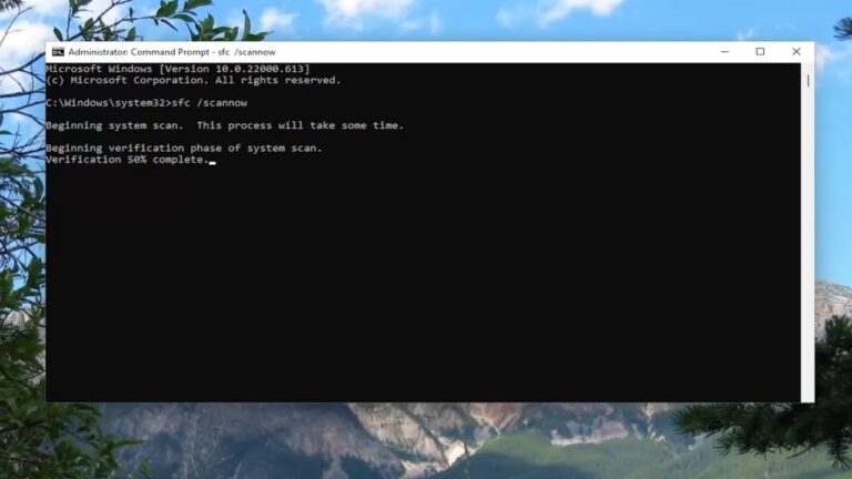 Solución para el error de Disk Management Console View en Windows 11/10 - Mundowin